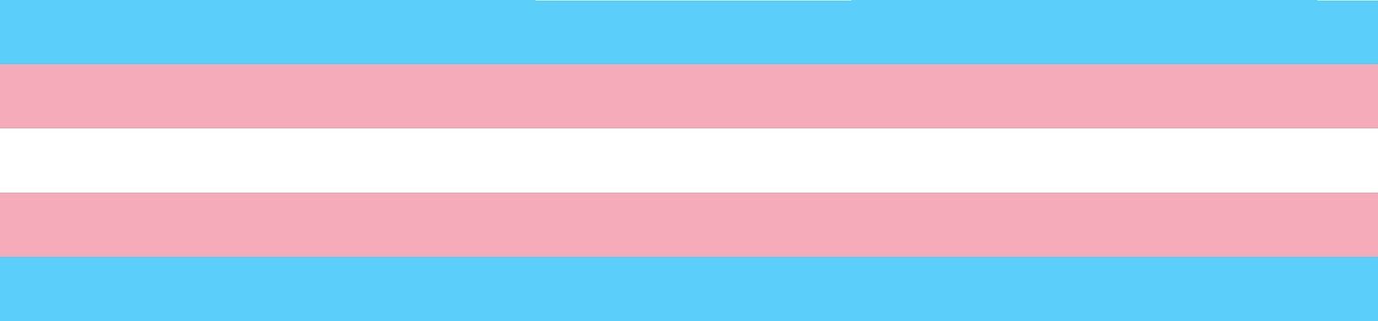 Trans Day of Visibility 2021